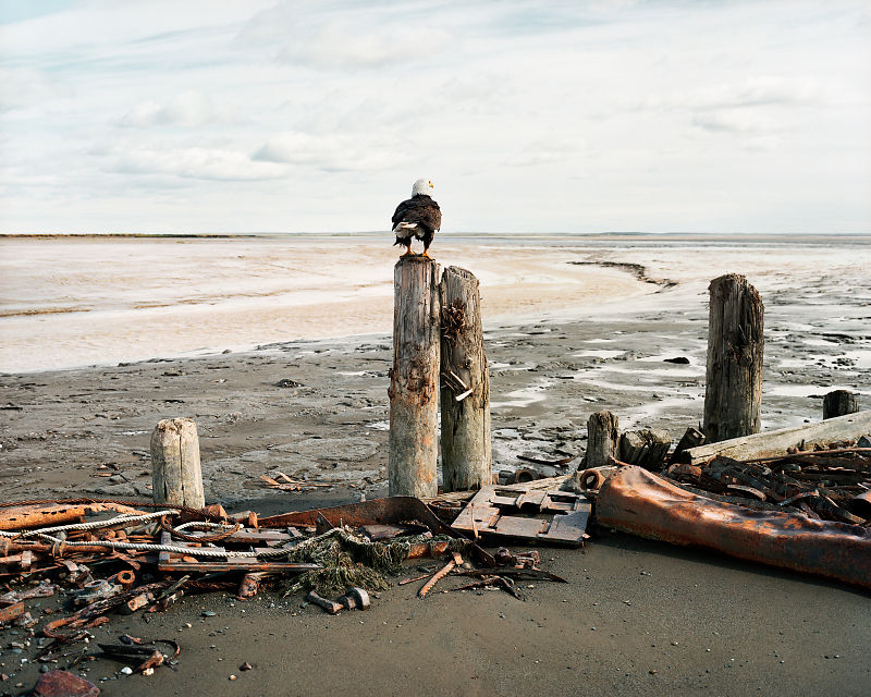 The Lookout - Corey Arnold - Photographer