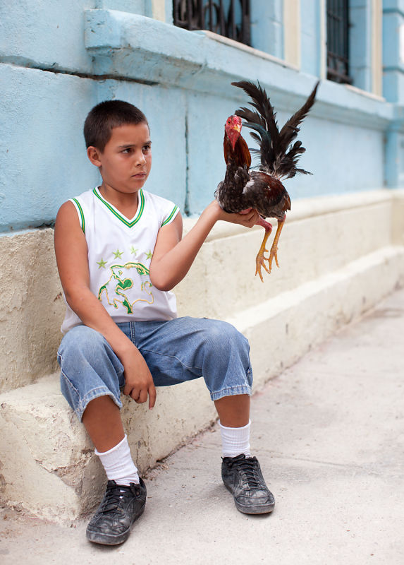 Boy and Rooster - Corey Arnold - Photographer