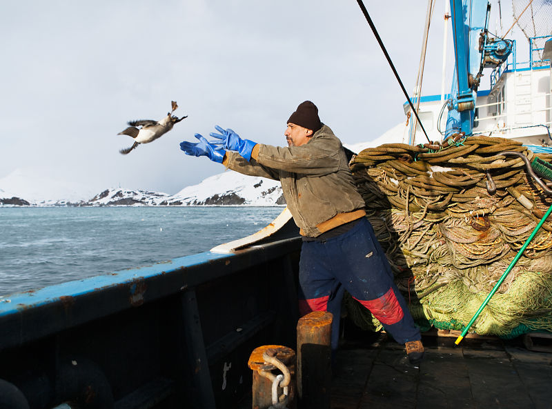 Release - Corey Arnold - Photographer