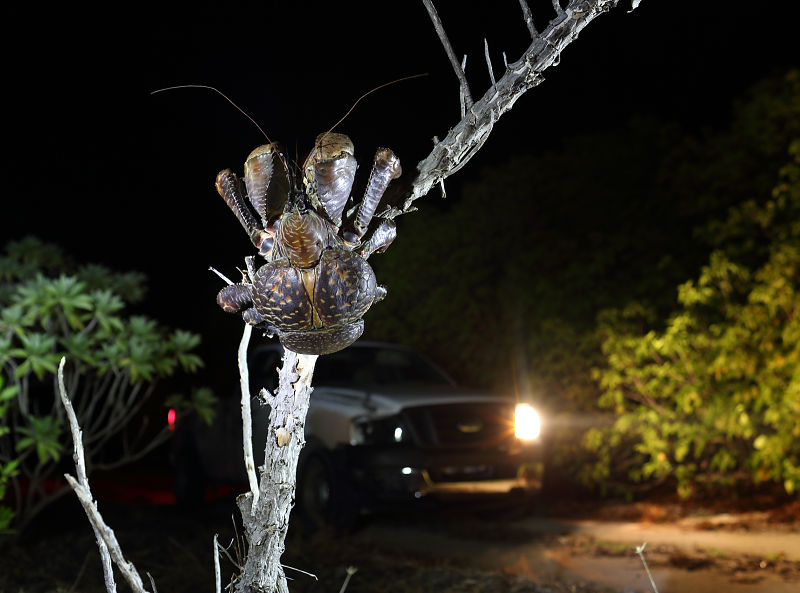 Corey-Arnold-Bikini-31.jpg - Corey Arnold - Photographer