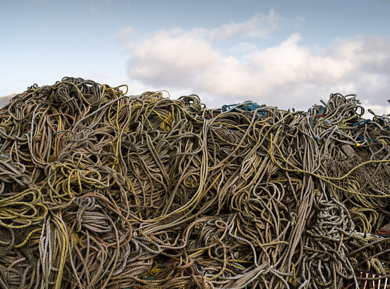 Crab Line - Corey Arnold - Photographer
