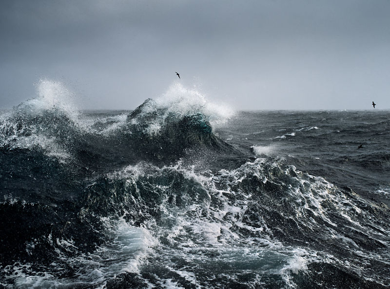 Shifting Sea - Corey Arnold - Photographer